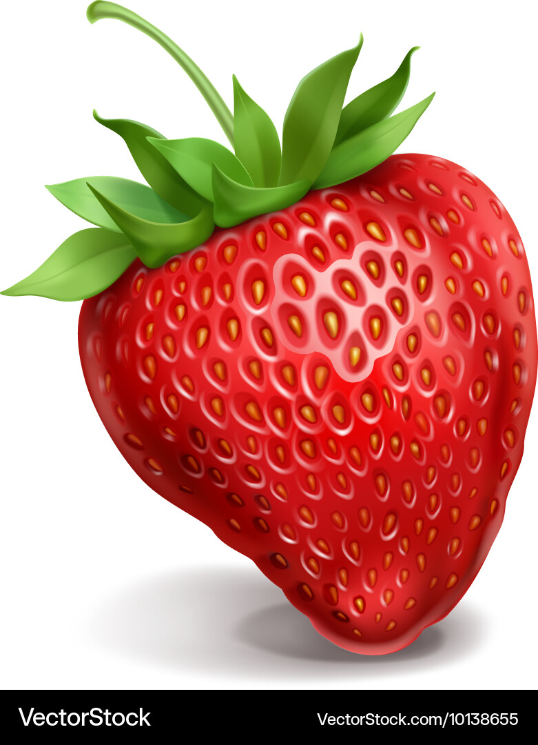 Strawberry Royalty Free Vector Image - VectorStock