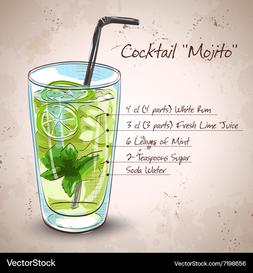 Mojito fresh cocktail Royalty Free Vector Image