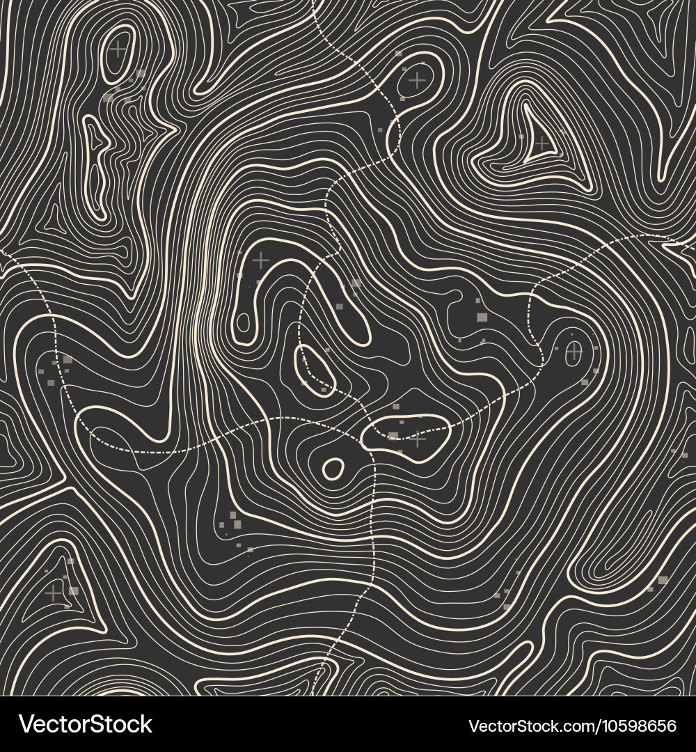 Topographic map background concept with space Vector Image Topographic map background concept with space Vector Image