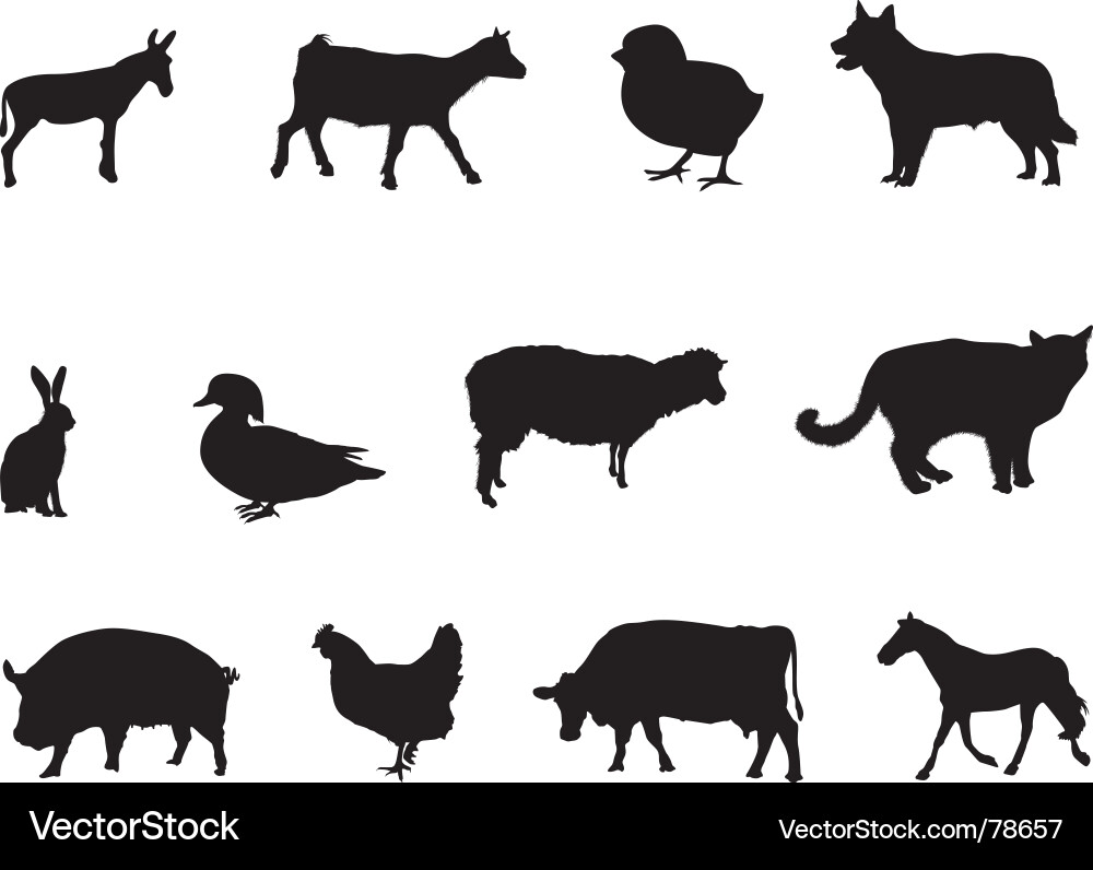 Herd of Cows Vector Images (over 2,400)