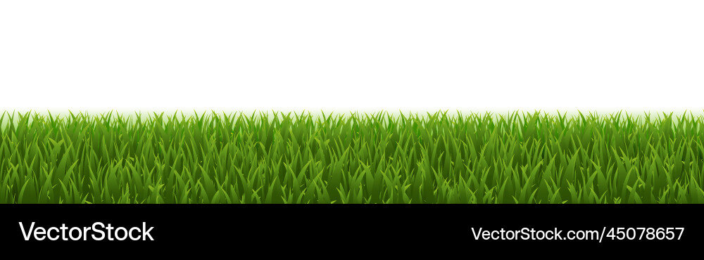 Green grass panorama realistic isolated white Vector Image