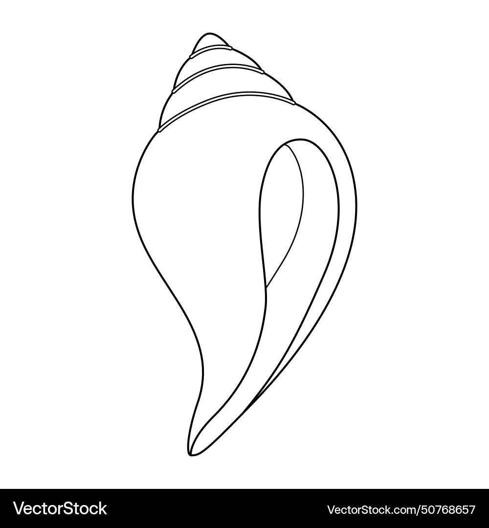 Seashell black and white outline art therapy Vector Image