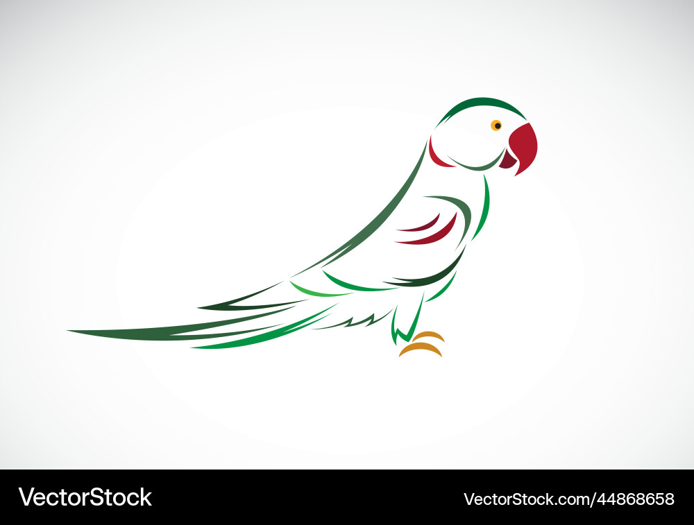 Parrot design on white background wild animals Vector Image