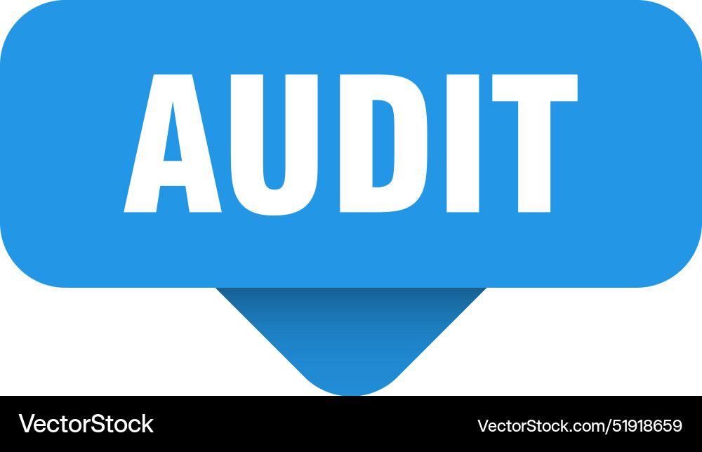Audit sticker sign on transparent background Vector Image