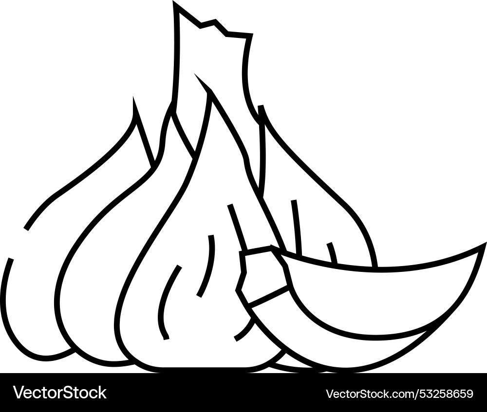 Garlic whole slice cut line icon Royalty Free Vector Image