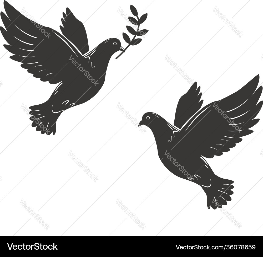 Silhouette flying dove with olive twig Royalty Free Vector