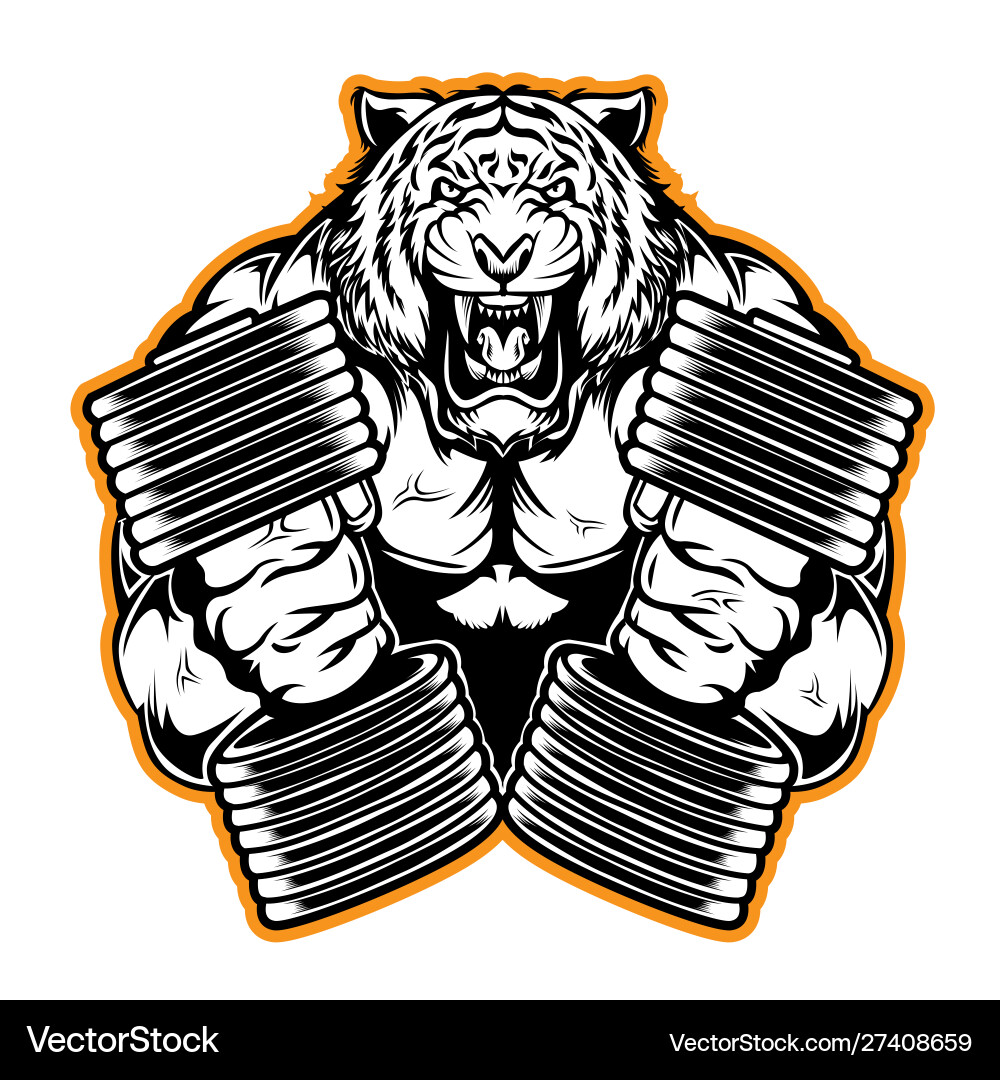 Tiger muscle dumbbell gym strong Royalty Free Vector Image