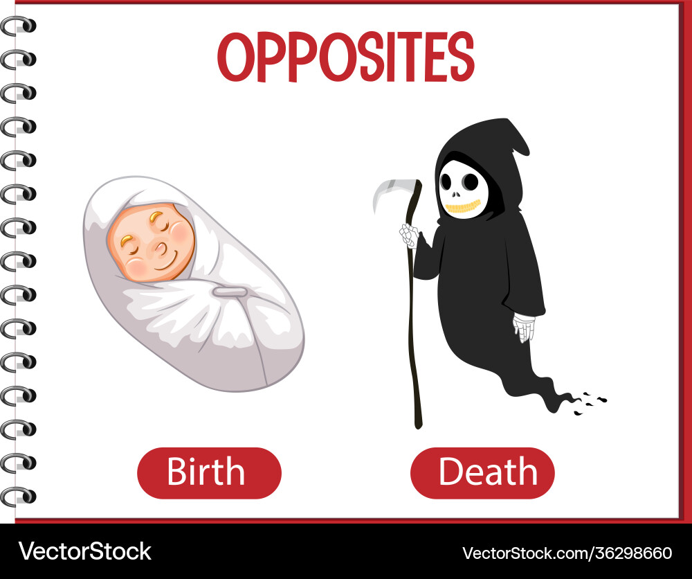 Opposite words with birth and death Royalty Free Vector