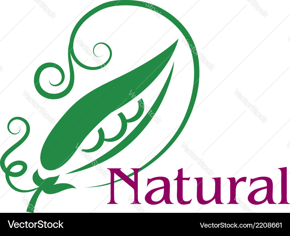 Natural food emblem or label Royalty Free Vector Image