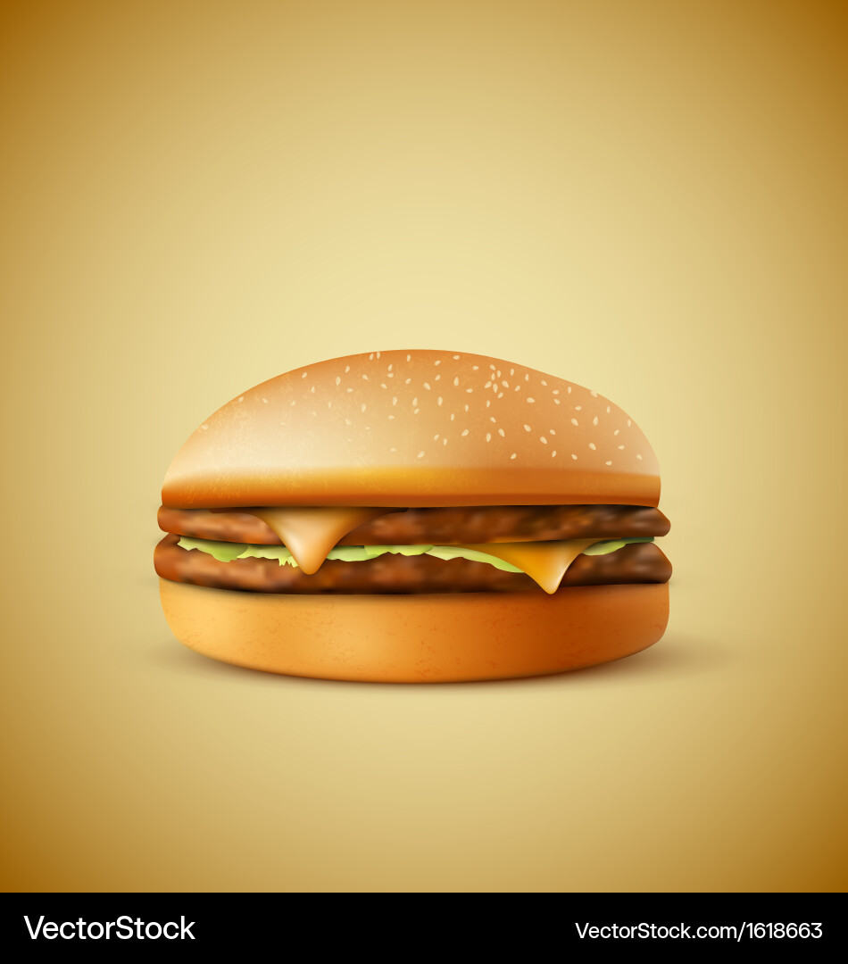 Realistic burger Royalty Free Vector Image - VectorStock