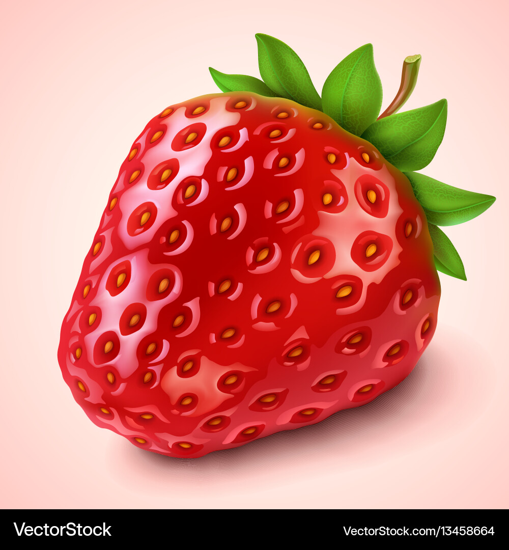 Ripe Strawberry Close-Up Royalty Free Vector Image