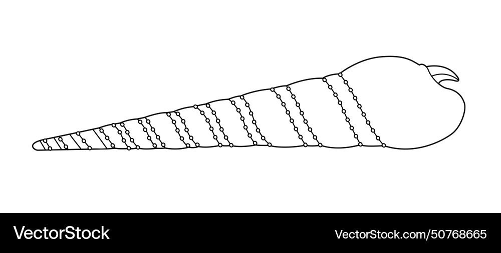 Seashell black and white outline art therapy Vector Image