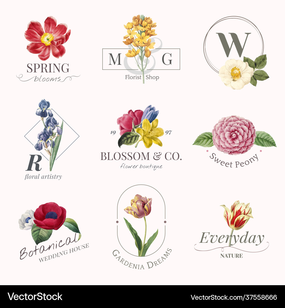 Musk Flower Vector Images (over 160)