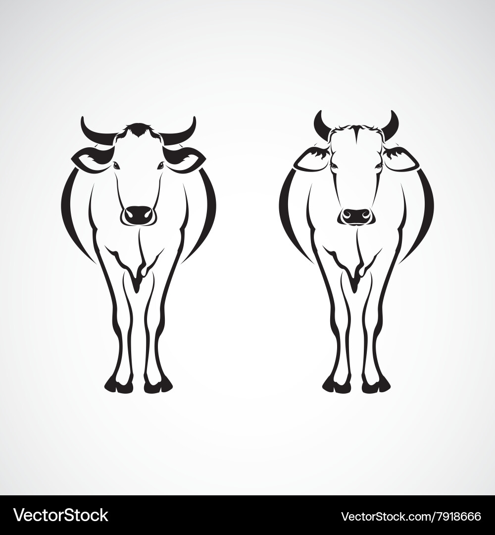 Image of an two cows Royalty Free Vector Image