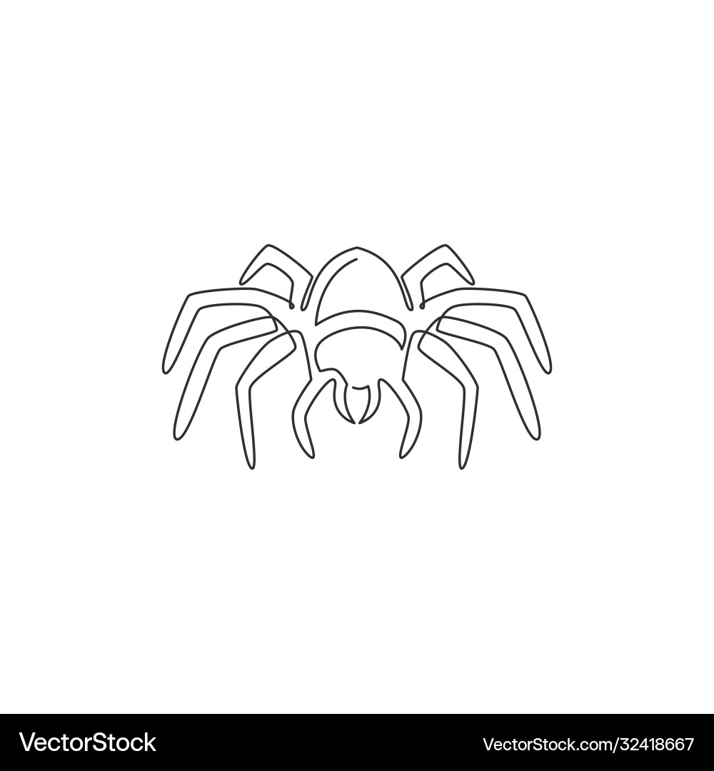 Continuous Line Spider Royalty Free Vector Image