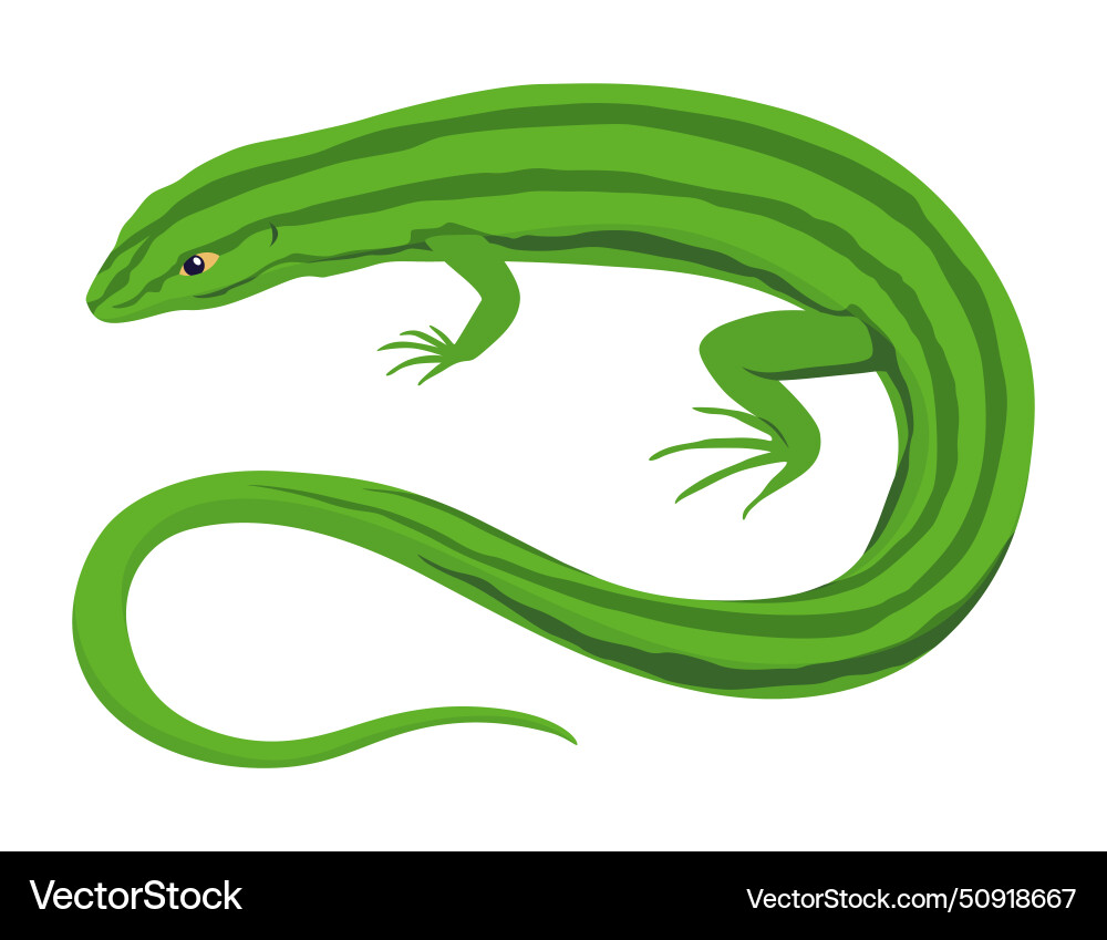 Lizard icon tropical colorful decorative Vector Image