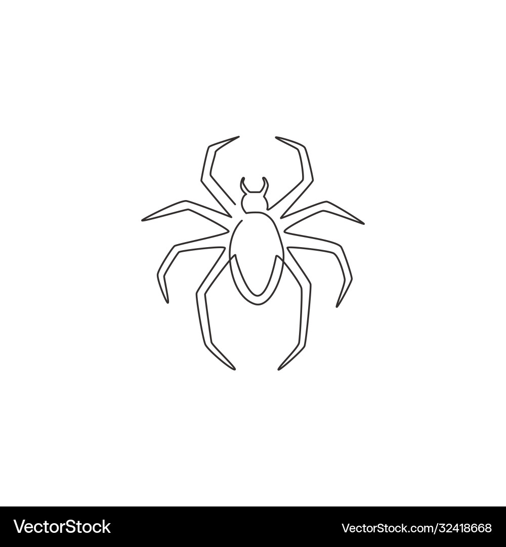 Spider Drawing
