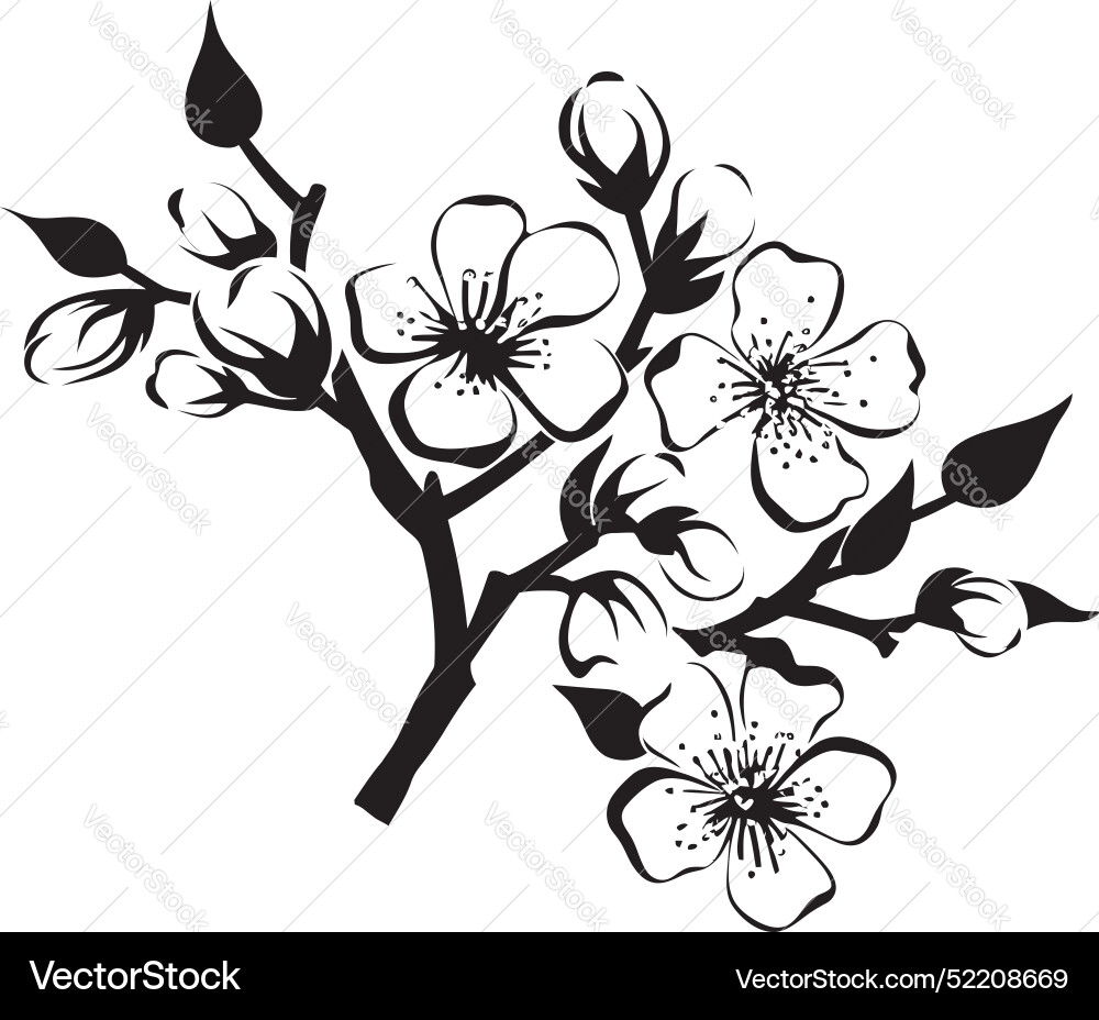 Obsidian sakura silhouette black logo on tree Vector Image