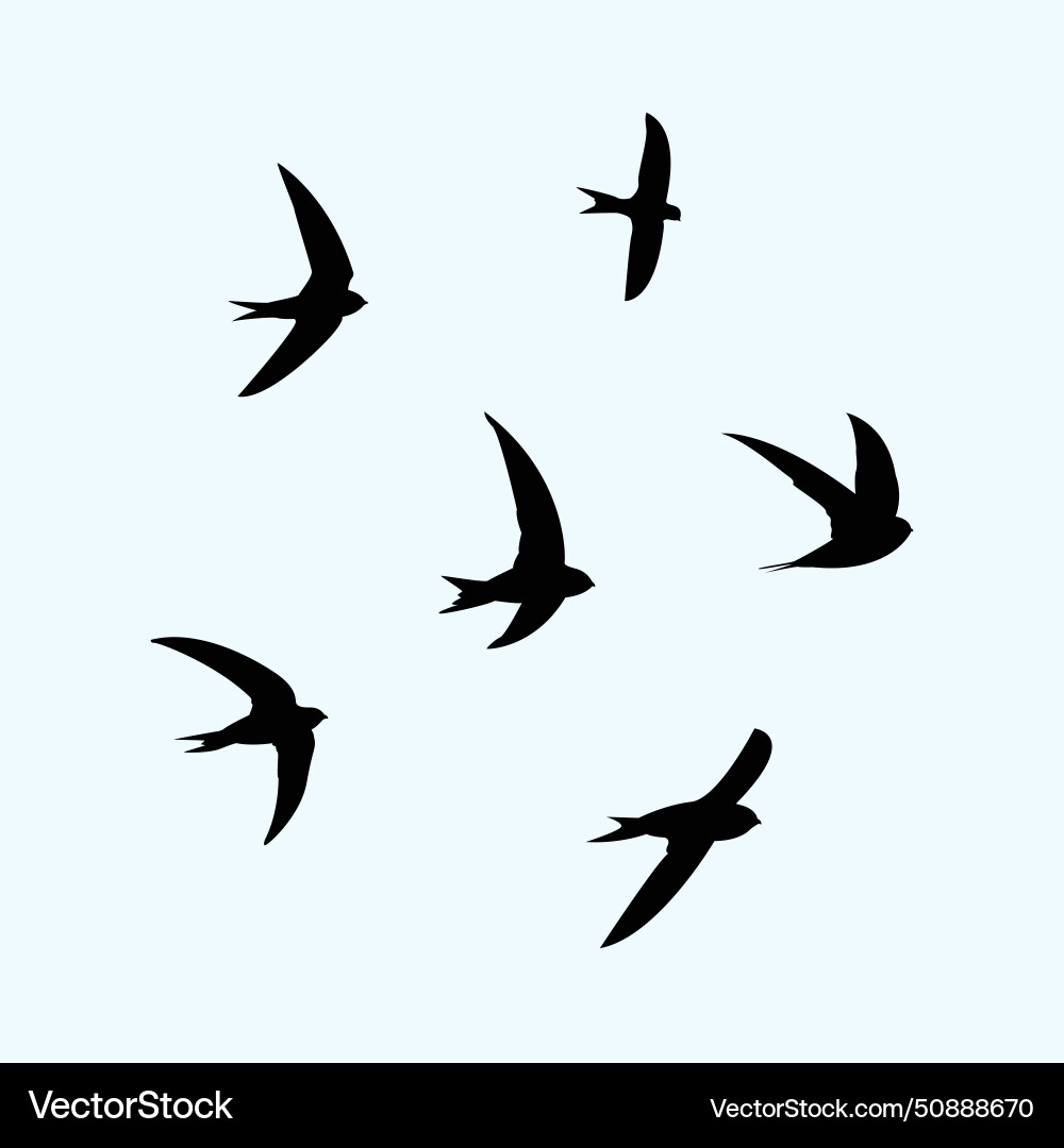 Swift birds silhouette Royalty Free Vector Image