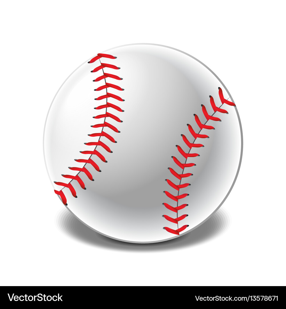 Baseball ball isolated on white Royalty Free Vector Image