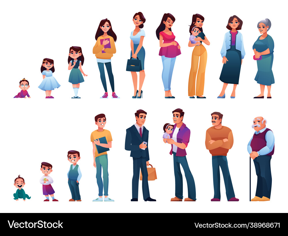 Human aging and growth male female Royalty Free Vector Image