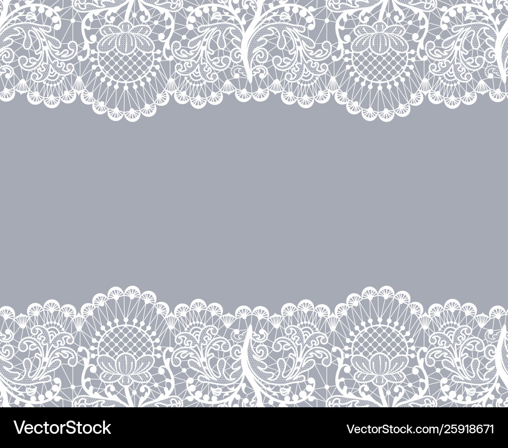 Seamless white lace Royalty Free Vector Image - VectorStock