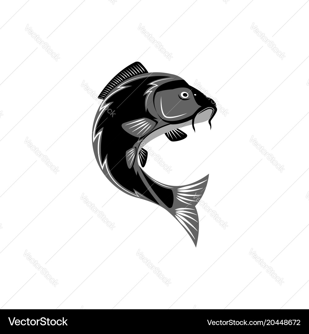 Carp logo creative pond fish template round Vector Image