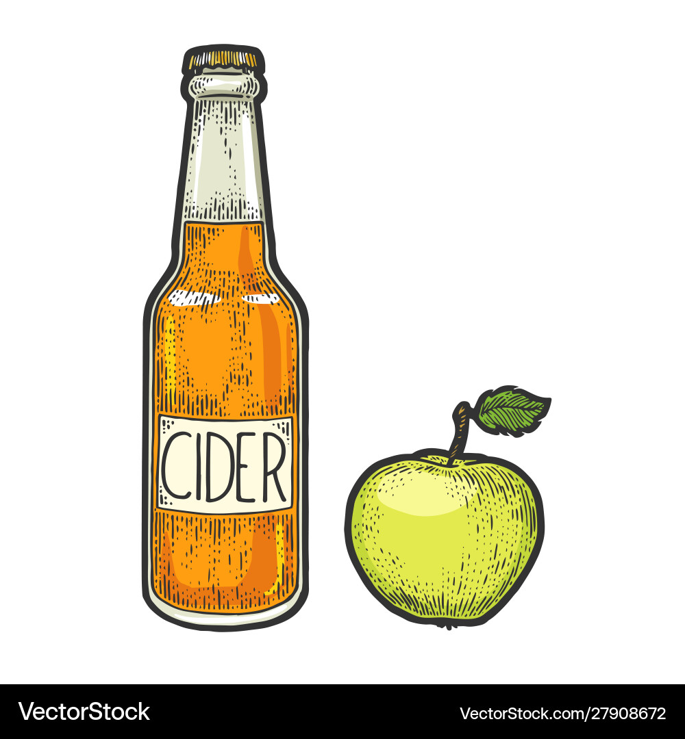 Cider bottle and apple sketch engraving Royalty Free Vector
