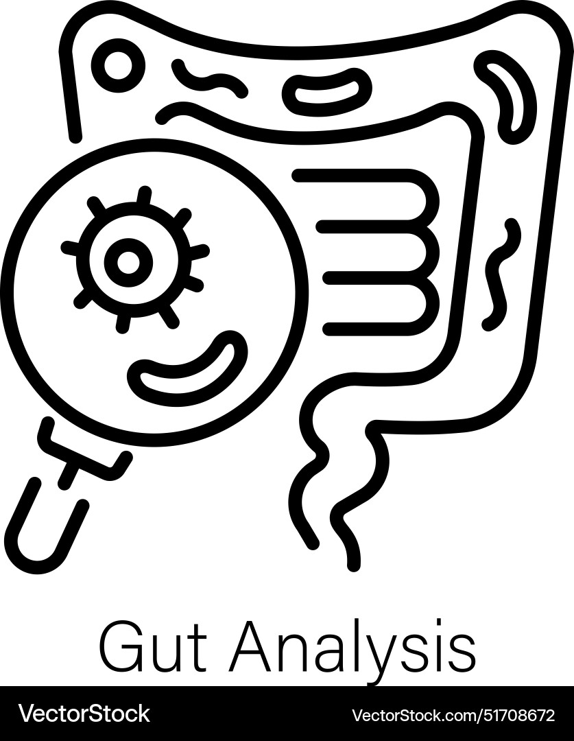 Gut analysis Royalty Free Vector Image - VectorStock