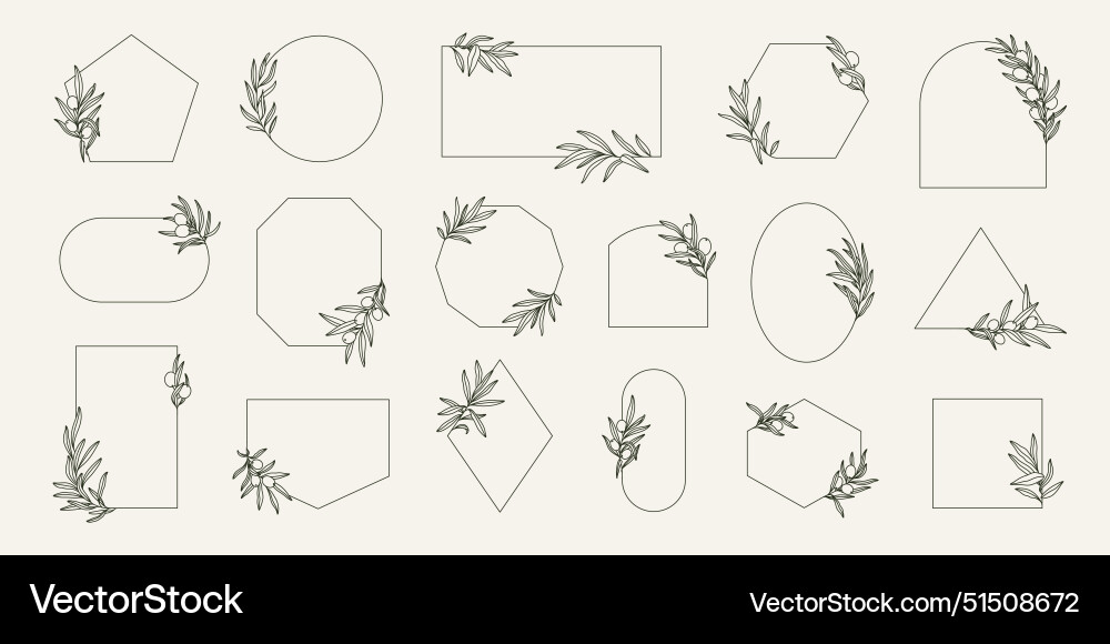 Minimal frames set with olive branches Royalty Free Vector