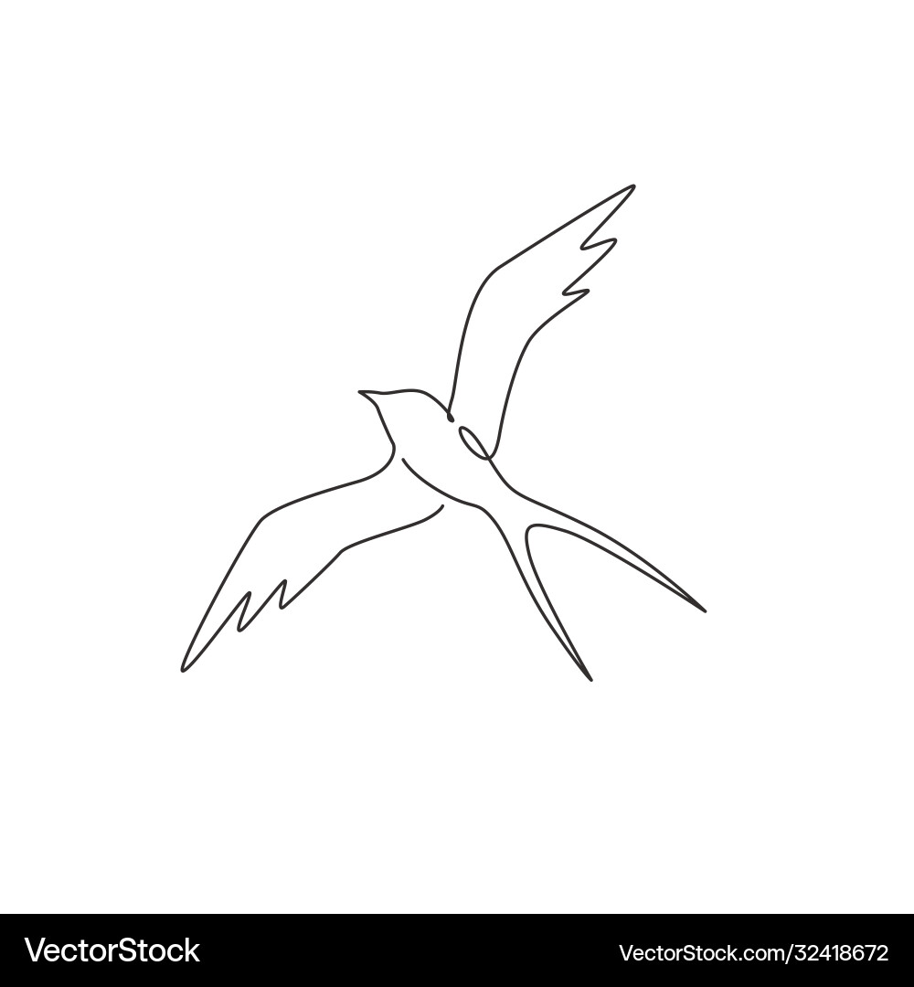 One continuous line drawing luxury swallow Vector Image