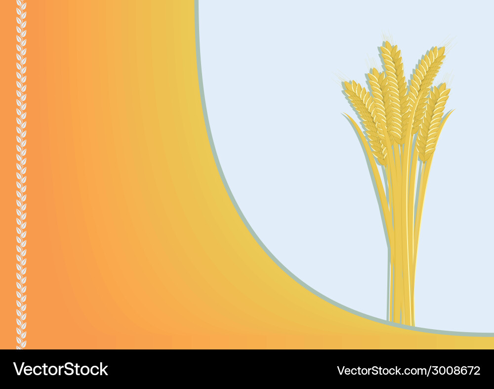 Wheat Royalty Free Vector Image - VectorStock