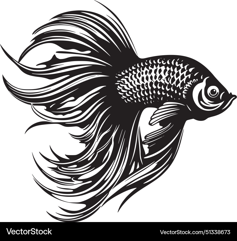 Betta fish - black and white isolated icon Vector Image