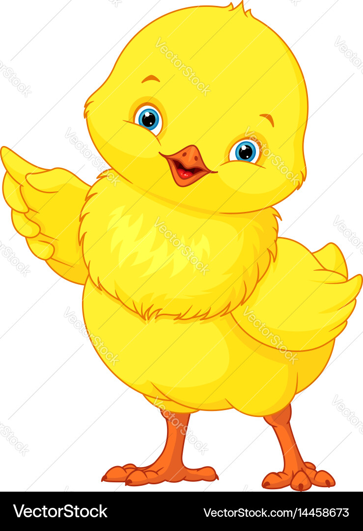 Chicken Royalty Free Vector Image - VectorStock