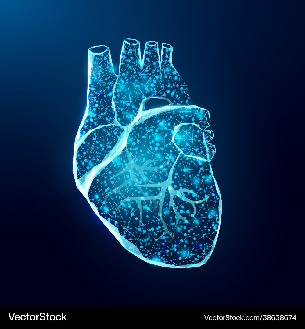 Human heart wireframe low poly style Royalty Free Vector