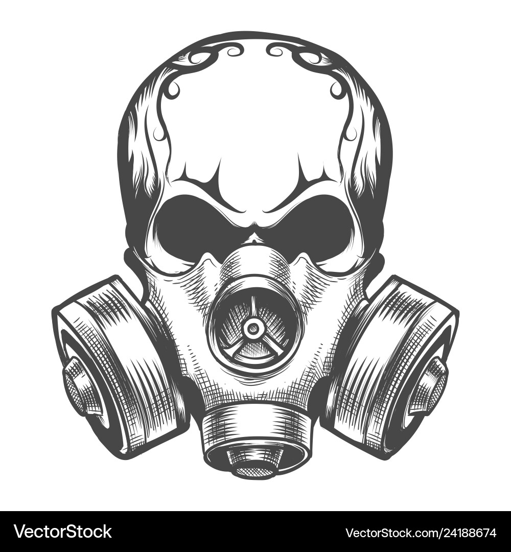Skull in a gas mask Royalty Free Vector Image - VectorStock