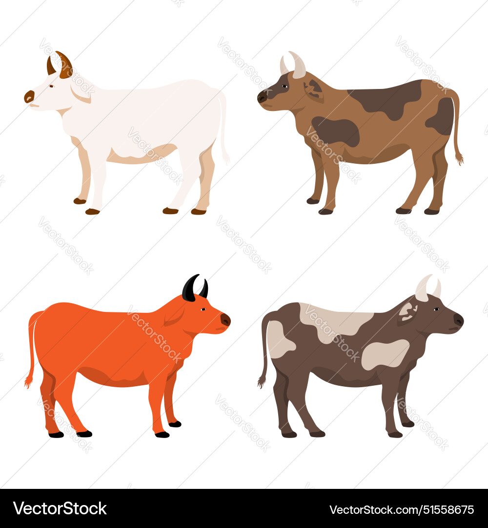 Cow design set collection Royalty Free Vector Image