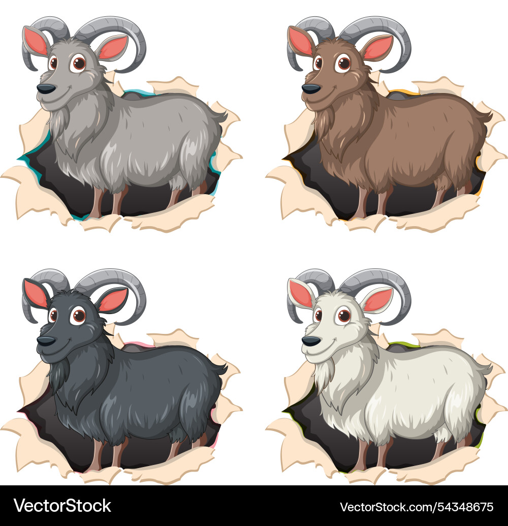 Four goats peeking through torn paper holes Vector Image