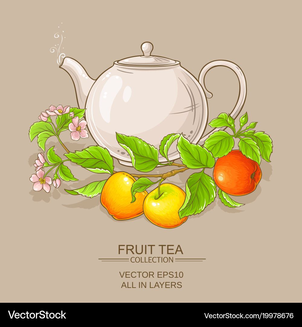 Apple tea in teapot Royalty Free Vector Image - VectorStock