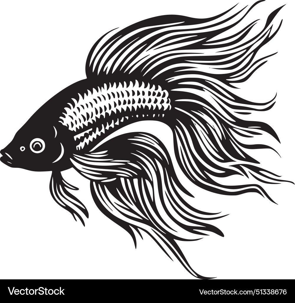 Betta fish - black and white Royalty Free Vector Image
