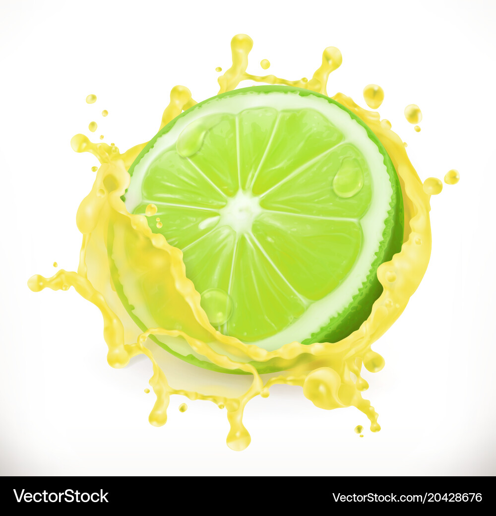 Lime juice fresh fruit 3d icon Royalty Free Vector Image