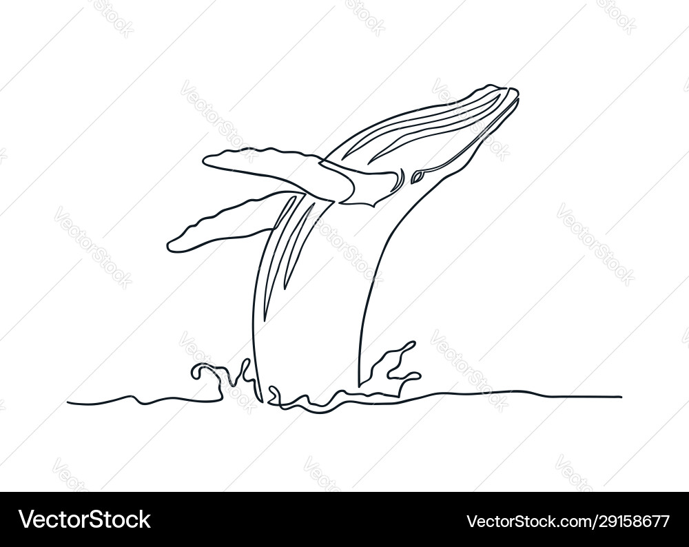 Whale Outline Vector Images (over 7,400)