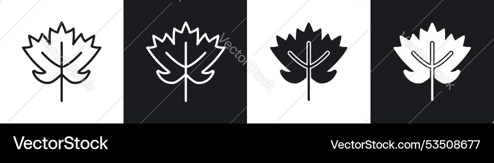 Maple leafline in thin line black color flat Vector Image