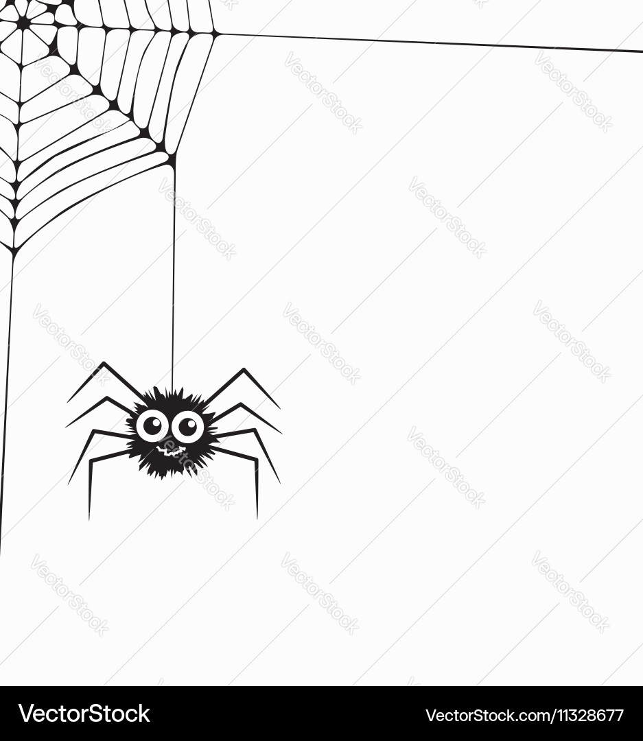 Spider and web Royalty Free Vector Image - VectorStock