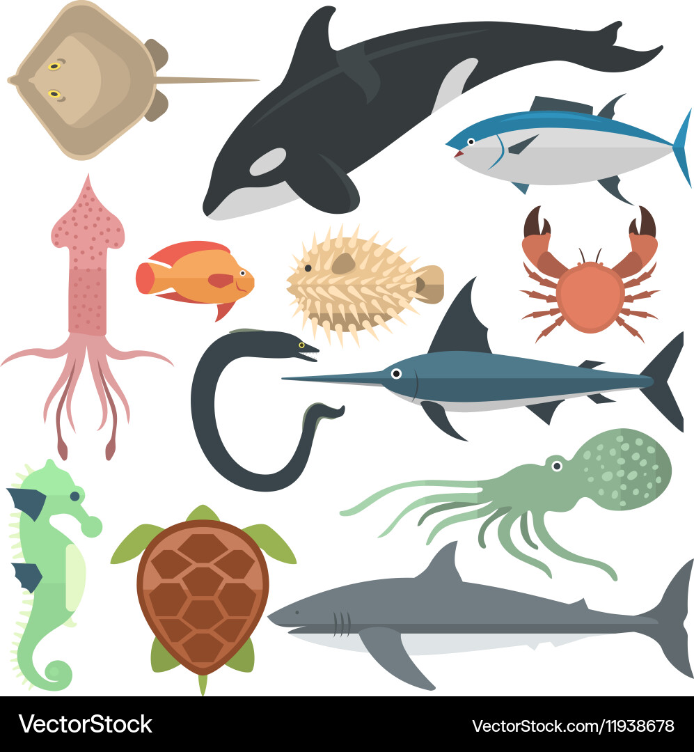 Adorable Sea Animals Collection Royalty Free Vector Image