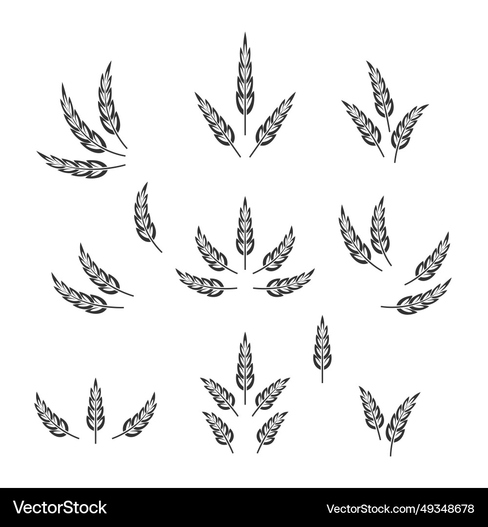 Flat agriculture wheat icon set isolated Vector Image