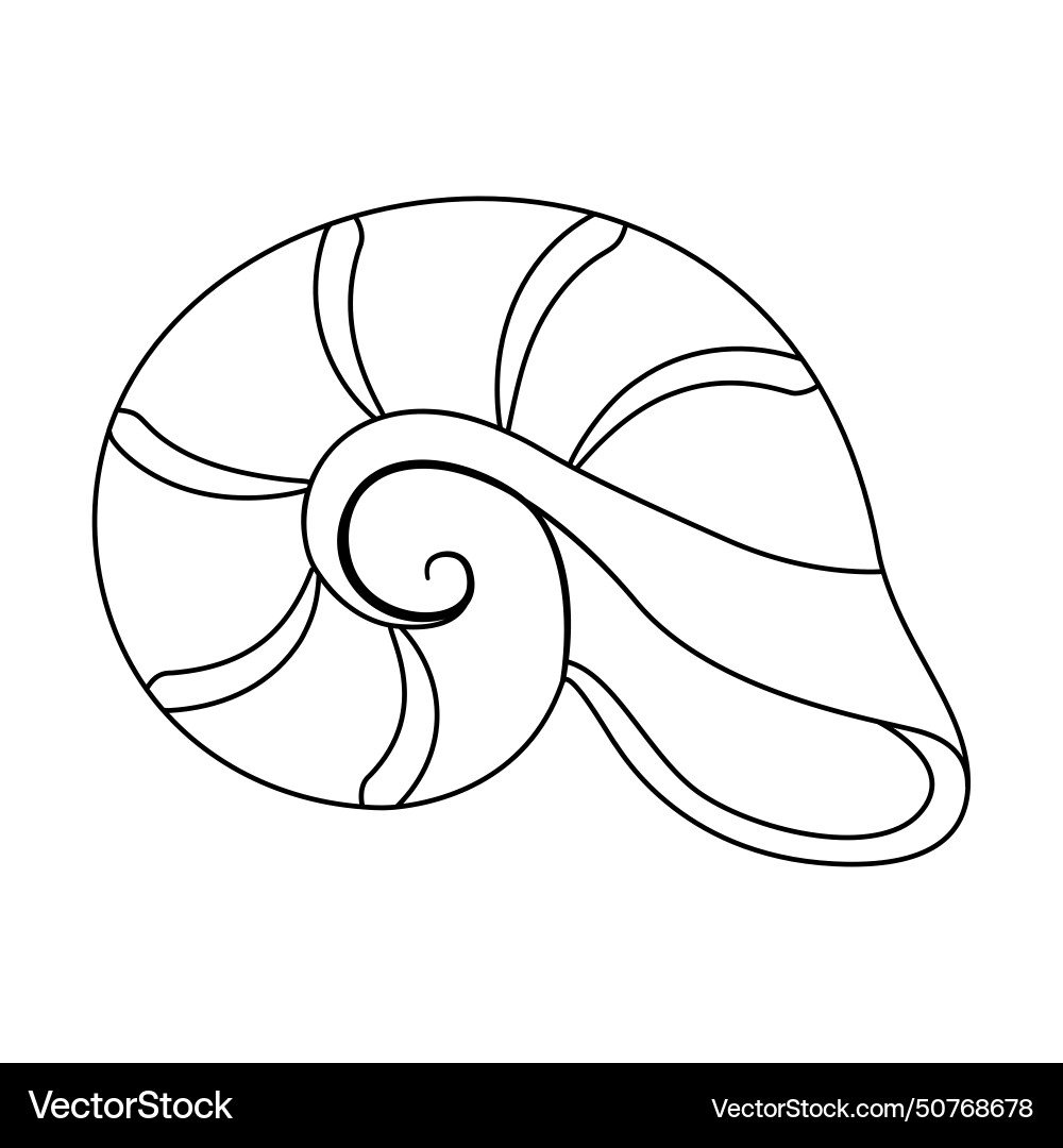 Seashell black and white outline art therapy Vector Image