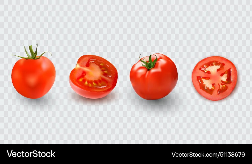 Transparent special effect stands out with fog Vector Image