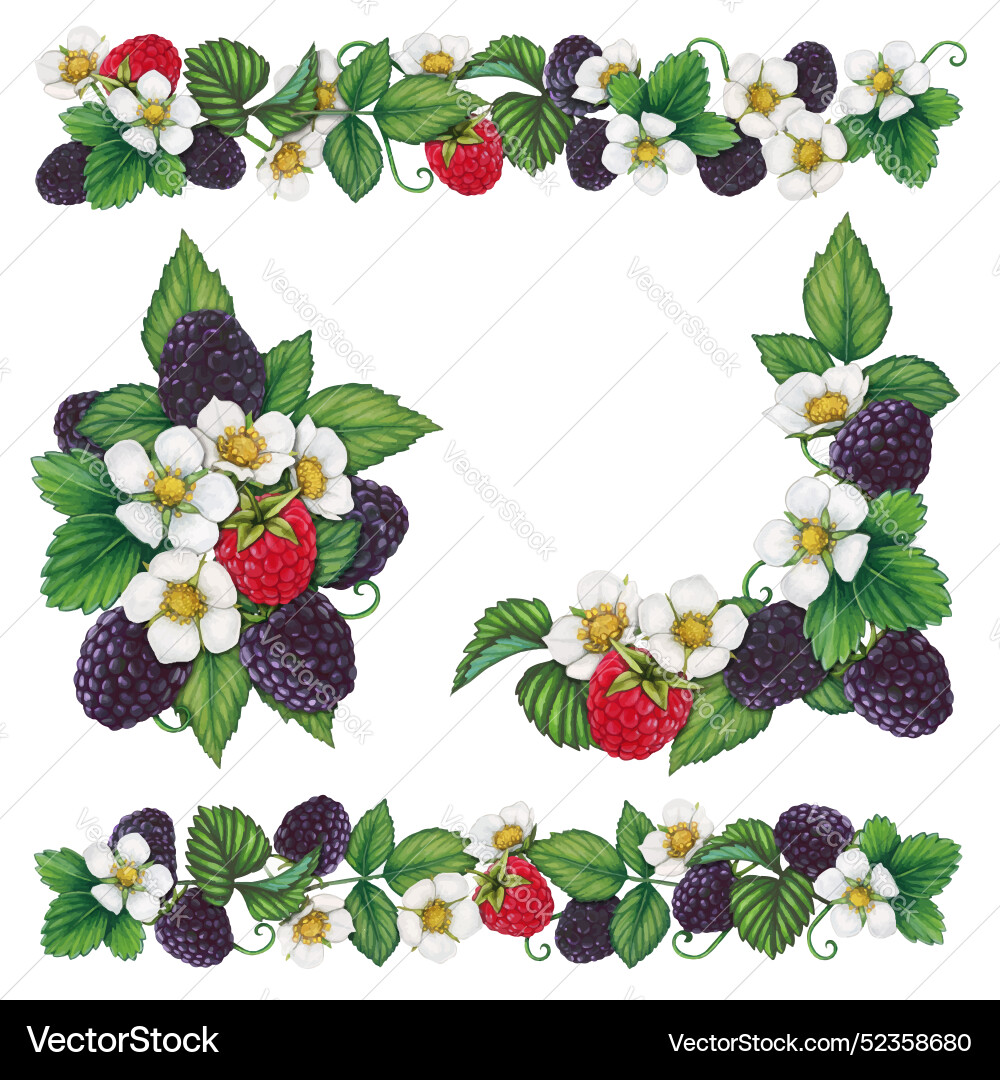 Cute watercolor ha nd drawn raspberry frame Vector Image