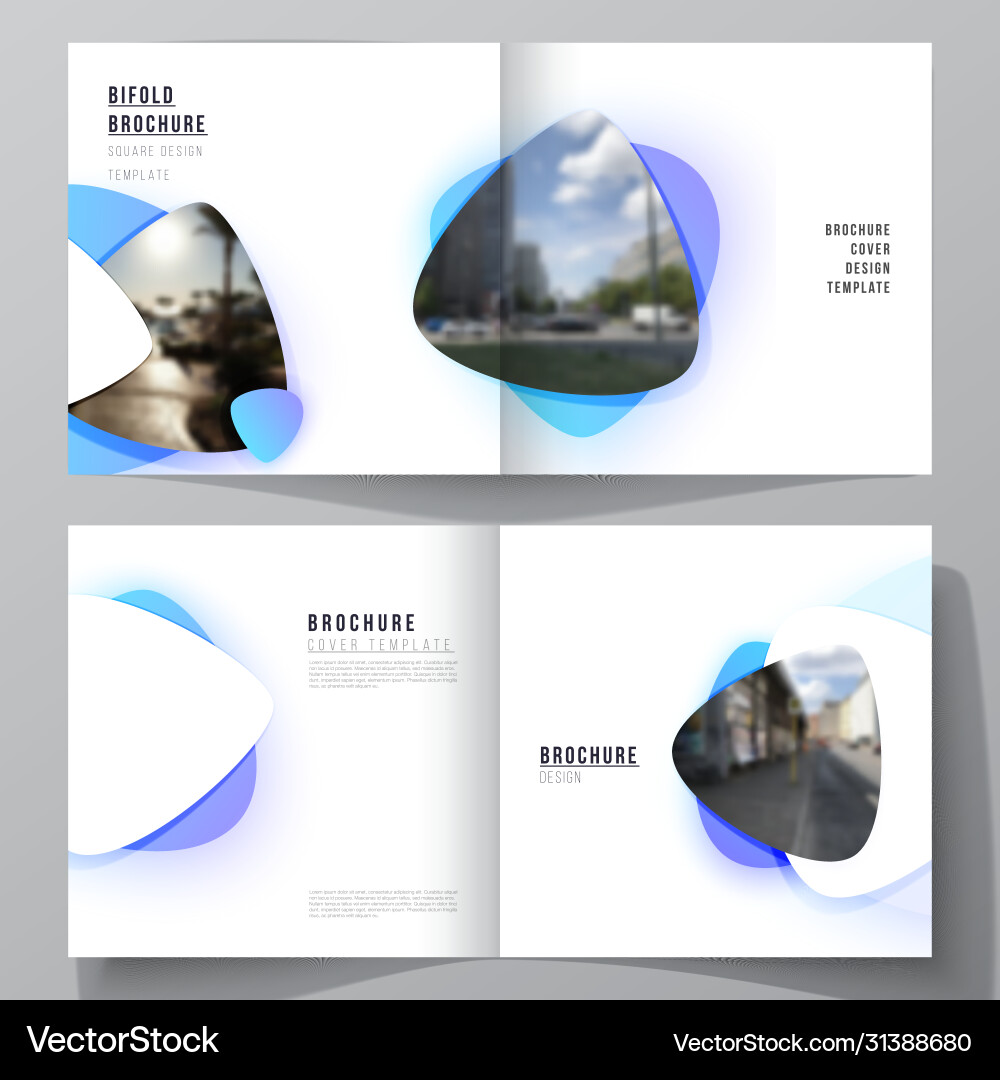 Layout two covers Royalty Free Vector Image - VectorStock